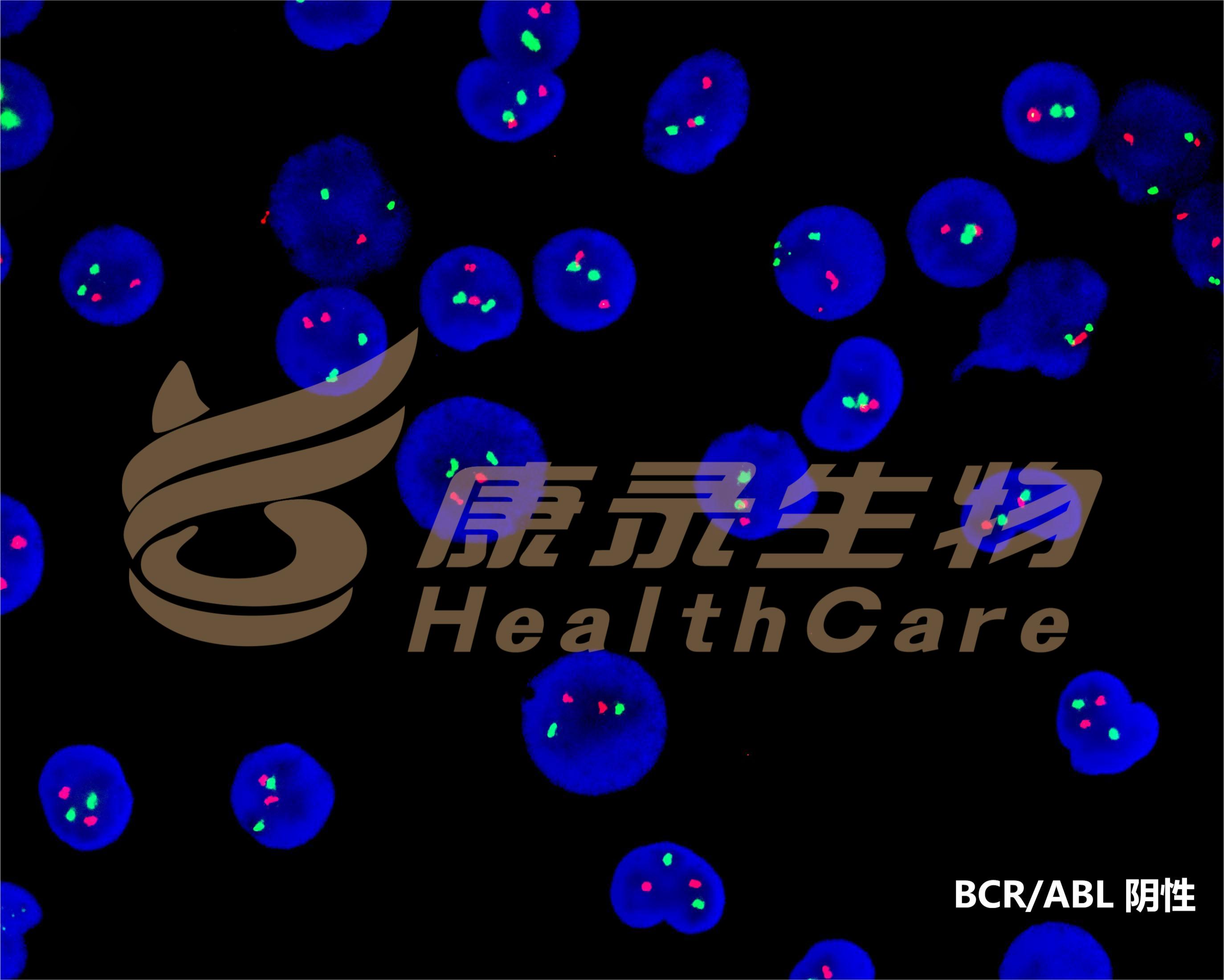 BCR/ABL融合基因检测试剂盒（荧光原位杂交法）-武汉康录生物技术股份有限公司