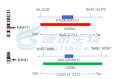 AML1/ETO融合基因检测试剂盒（荧光原位杂交法）-武汉康录生物技术股份有限公司