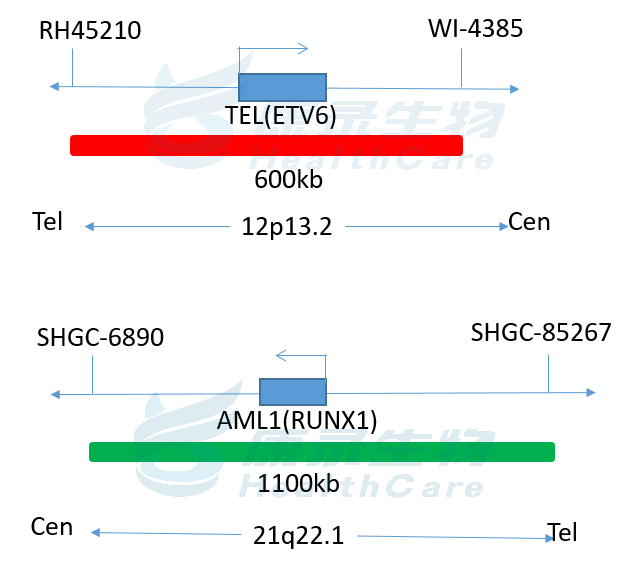 ETV6(TEL)/RUNX1(AML1)基因转位探针试剂（原位杂交法）-武汉康录生物技术股份有限公司