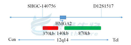 HMGA2（12q14）基因断裂探针试剂（荧光原位杂交法）-武汉康录生物技术股份有限公司