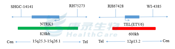 ETV6/NTRK3融合基因t(12;15)探针试剂（荧光原位杂交法）-武汉康录生物技术股份有限公司
