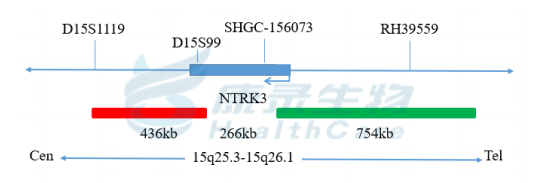 NTRK3(15q25)基因断裂探针试剂（荧光原位杂交法）-武汉康录生物技术股份有限公司
