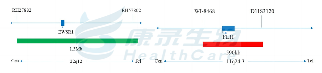 EWSR1/FLI1融合基因t(11;22)探针试剂（荧光原位杂交法）-武汉康录生物技术股份有限公司