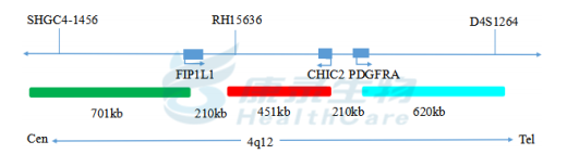 CHIC2基因缺失(PDGFRA断裂) 探针试剂（原位杂交法）-武汉康录生物技术股份有限公司