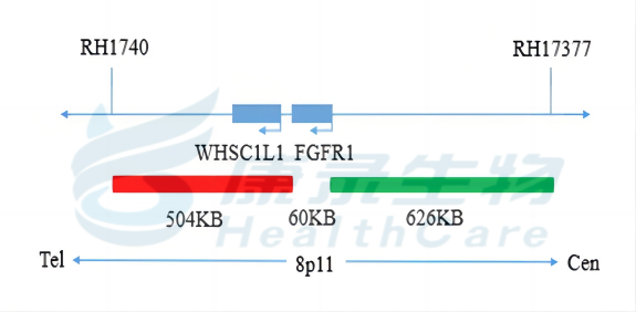 FGFR1基因断裂探针试剂（荧光原位杂交法）-武汉康录生物技术股份有限公司