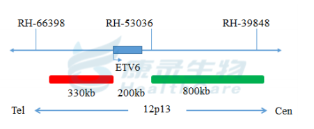 ETV6基因断裂探针试剂（原位杂交法）-武汉康录生物技术股份有限公司