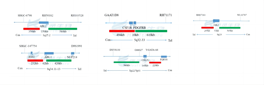 ABL1/ABL2/PDGFRB/CRLF2/JAK2基因断裂探针试剂（荧光原位杂交法）-武汉康录生物技术股份有限公司