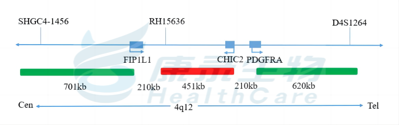 FGFR1/PDGFRA/PDGFRB基因断裂探针试剂 （荧光原位杂交法）-PDGFRA断裂-武汉康录生物技术股份有限公司