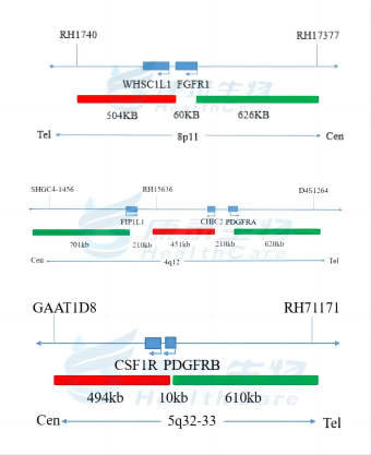 FGFR1/PDGFRA/PDGFRB基因断裂探针试剂（荧光原位杂交法）-武汉康录生物技术股份有限公司