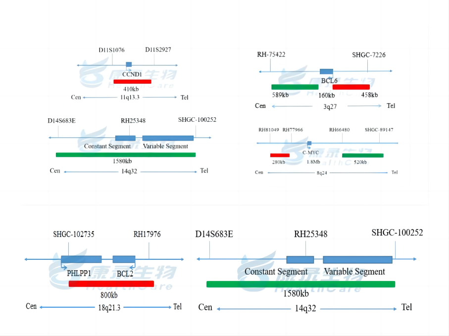 BCL6/MYC/[CCND1/IGH]/[BCL2/IGH]基因探针试剂（荧光原位杂交法）-武汉康录生物技术股份有限公司