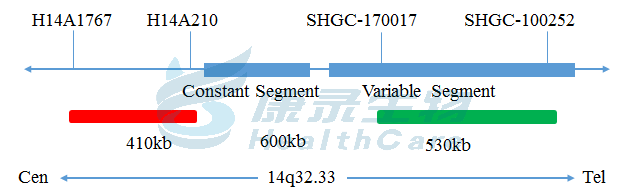 BCL6/MYC/IGH/[BCL2/IGH]基因探针试剂（荧光原位杂交法）-IGH断裂-武汉康录生物技术股份有限公司