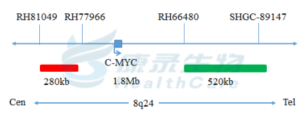 MYC（8q24）/BCL6（3q27）/BCL2（18q21）基因断裂探针试剂（荧光原位杂交法）-MYC断裂-武汉康录生物技术股份有限公司