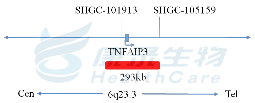 TNFAIP3(6q23)基因缺失探针试剂（荧光原位杂交法）-武汉康录生物技术股份有限公司