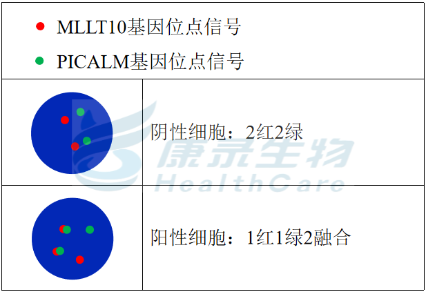 PICALM/MLLT10融合基因探针试剂（原位杂交法）-武汉康录生物技术股份有限公司