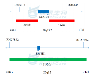 EWSR1基因探针试剂（荧光原位杂交法）-EWSR1/NFATC2融合-武汉康录生物技术股份有限公司