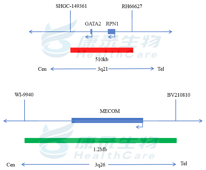 GATA2,MECOM(RPN1/MECOM)基因异常探针试剂（荧光原位杂交法）-武汉康录生物技术股份有限公司